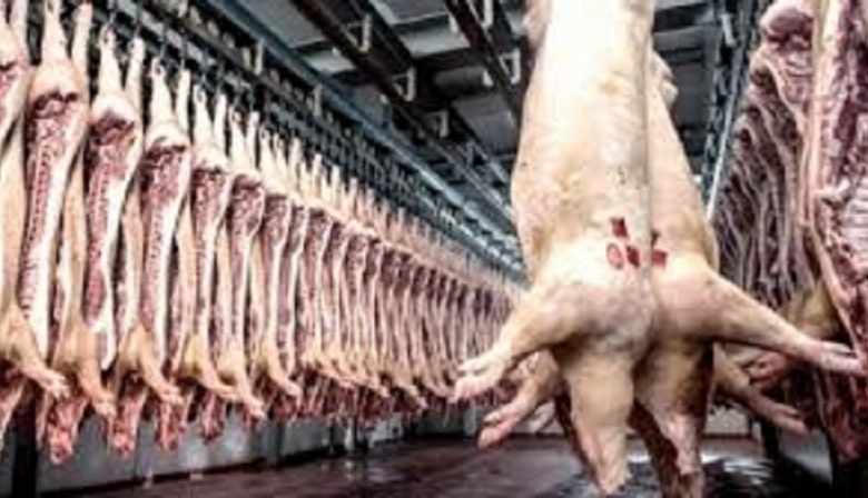 Brasil bate récord en producción de carne de res, cerdos y pollos en ...